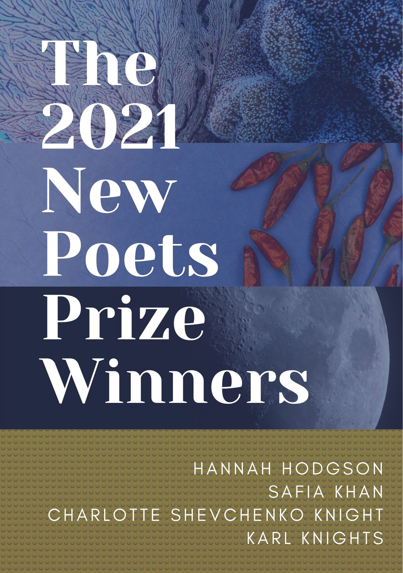 The 2021 New Poets Prize Winners - The Poetry Business